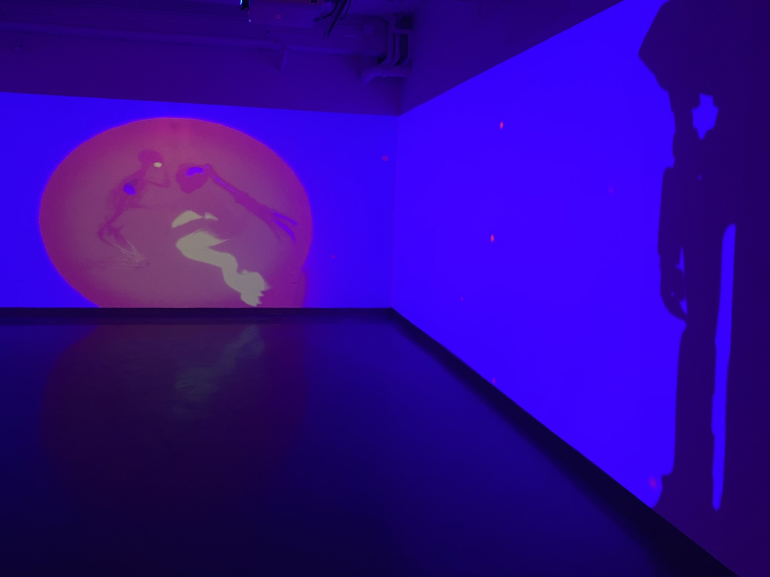 Rachel Rossin: works from THE MAW OF. September 7 - October 14, 2023 ...